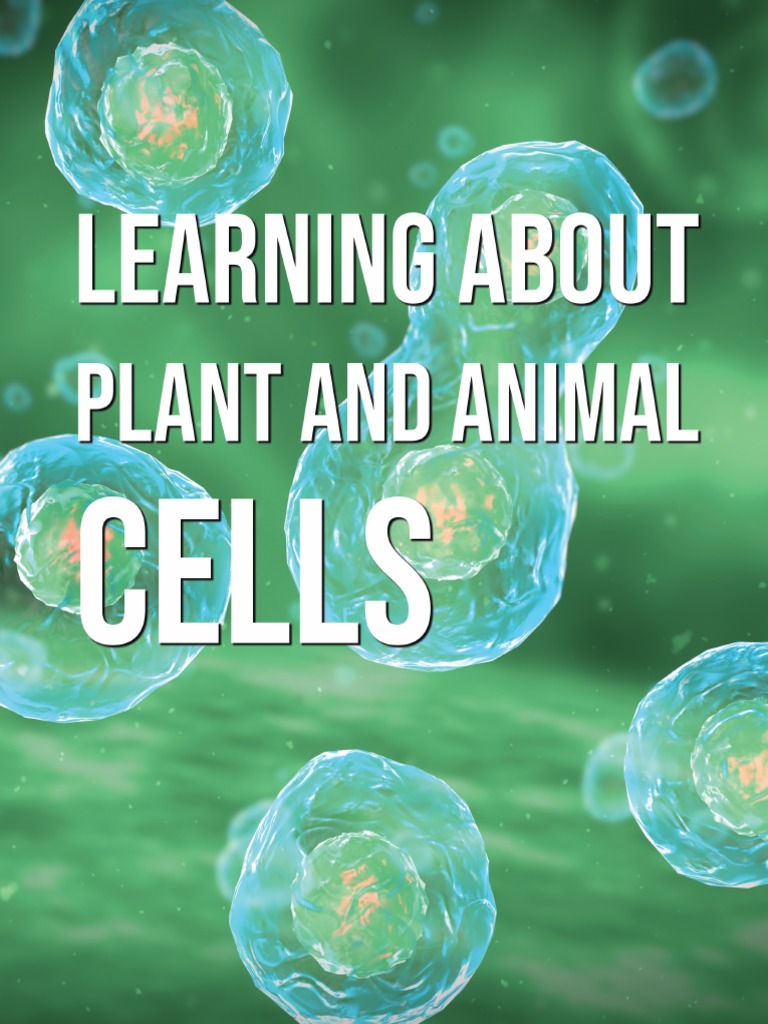 Plant and Animal Cell Worksheets | PDF | Endoplasmic Reticulum | Cell ...