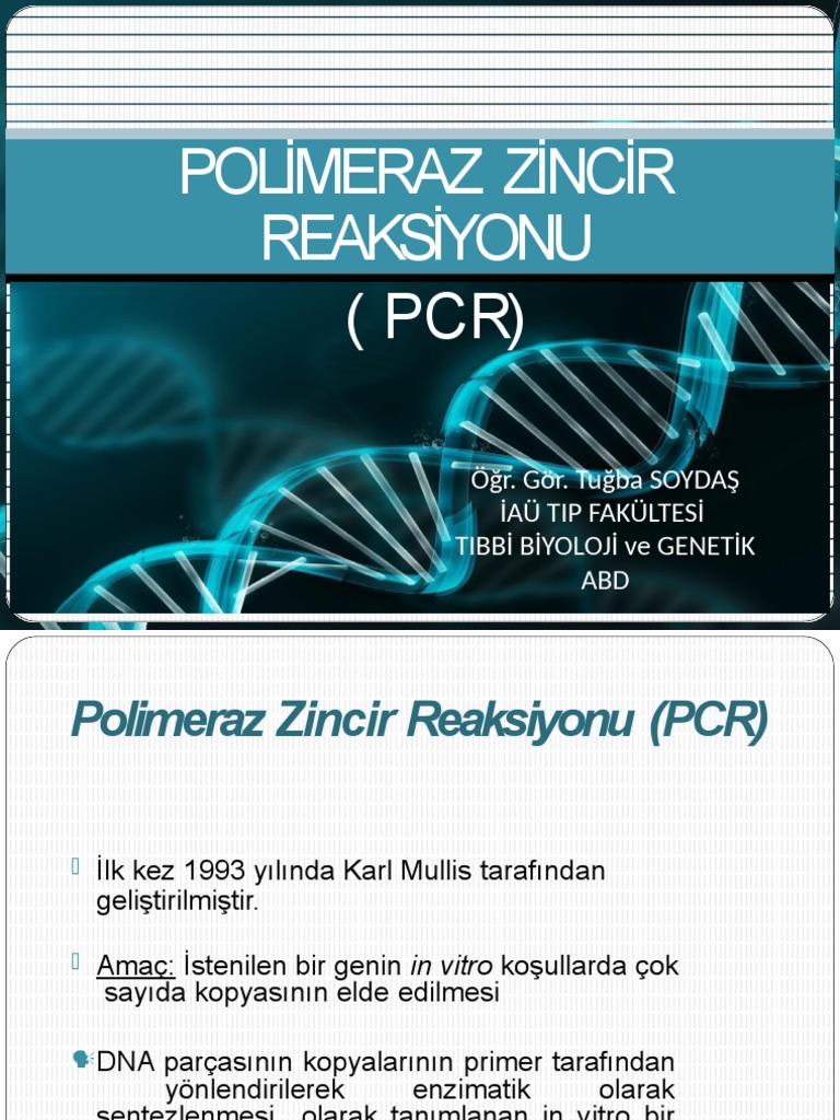 9-TBG Lab | PDF