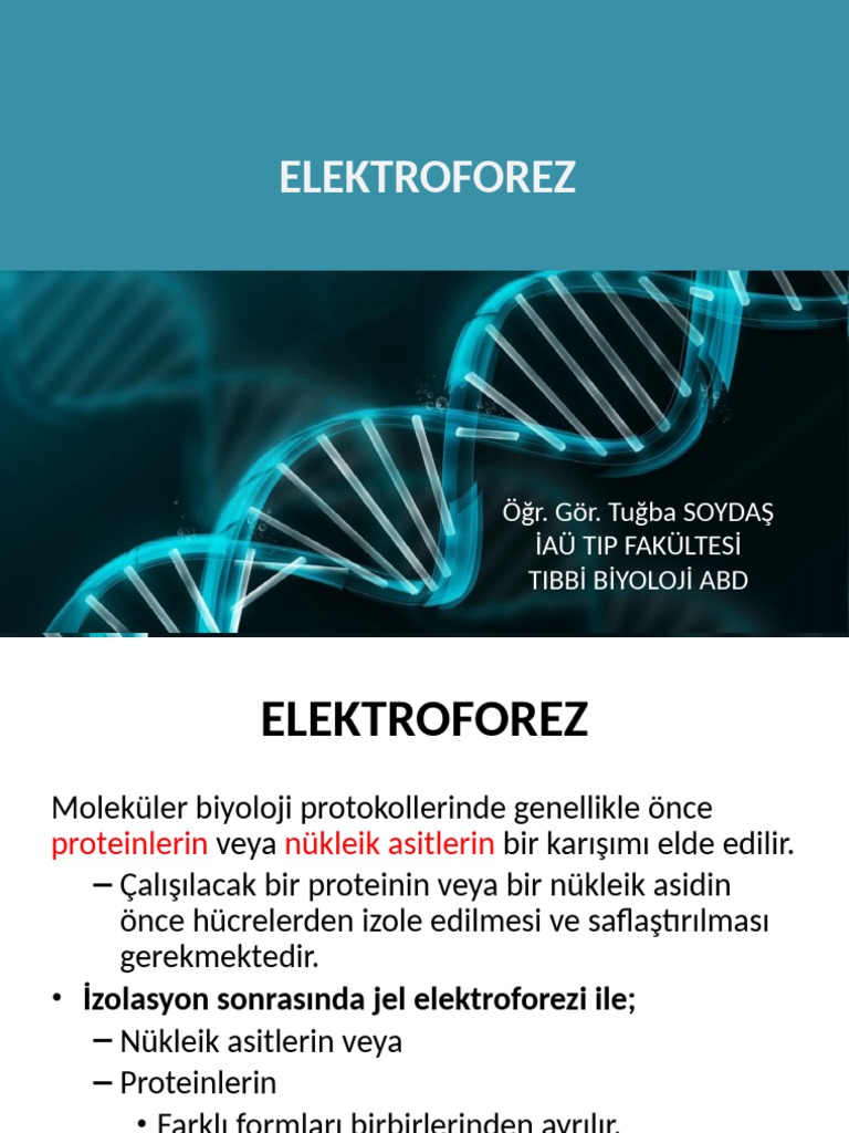 11-TBG Lab | PDF