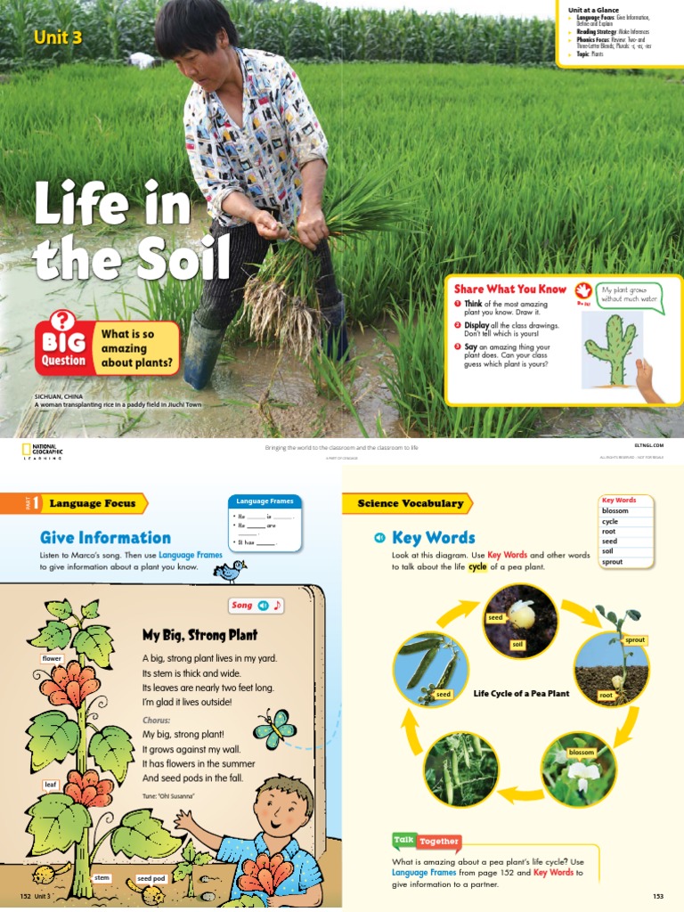 Reach Higher Students Book Level 3 UNIT 3 | PDF | Plants | Flowers