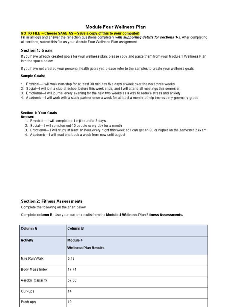 Module Four Wellness Plan | PDF