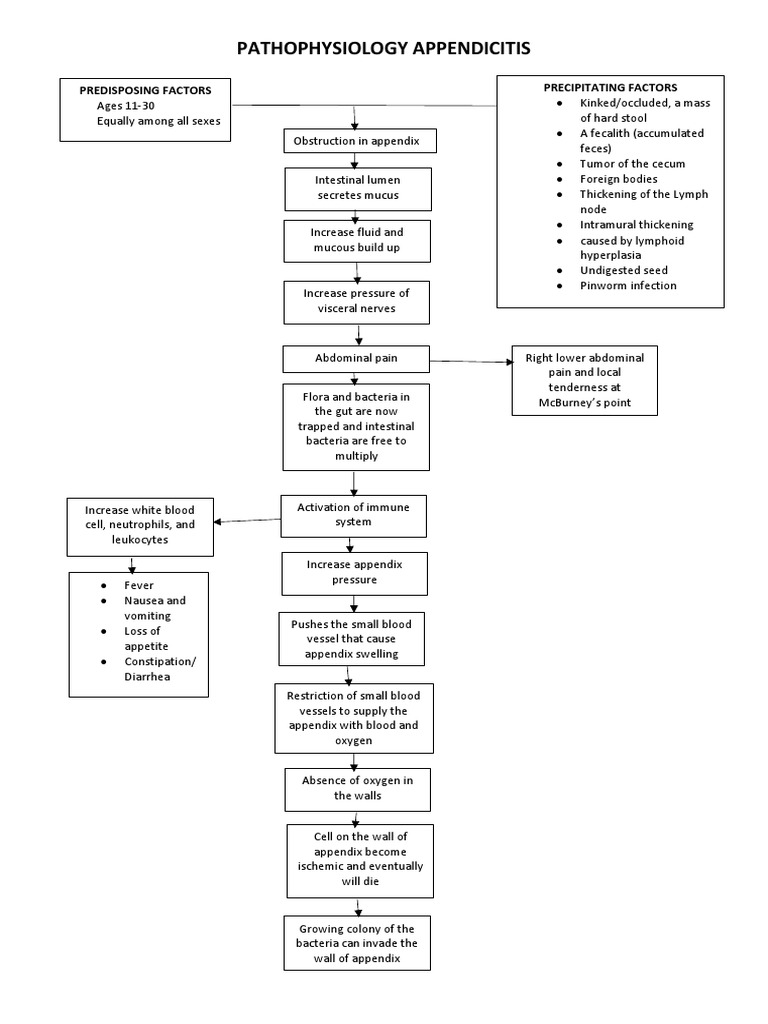 PATHOPHYSIOLOGY-APPENDICITIS | PDF | Gastroenterology | Diseases And ...