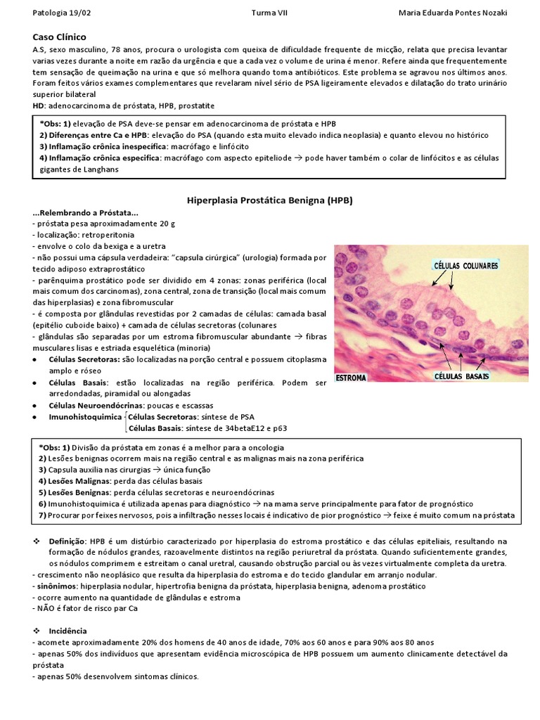 Hiperplasia Prostática Benigna (HPB) | PDF | Próstata | Câncer de próstata