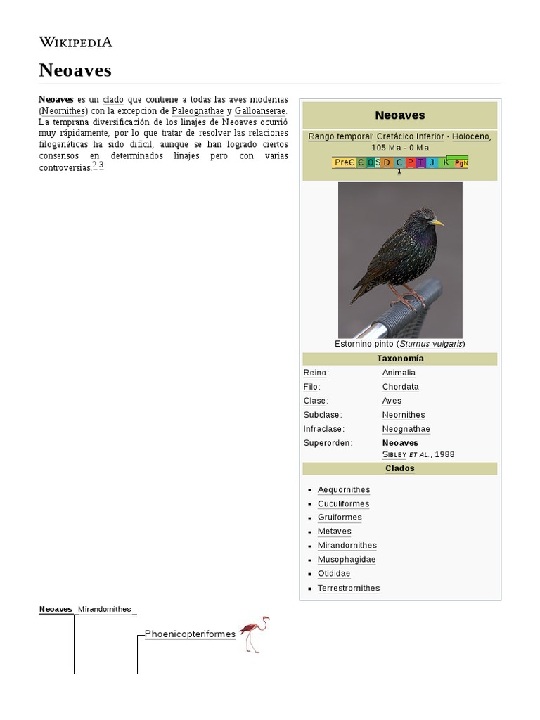 Neoaves | PDF | Neognathae | Ornitología