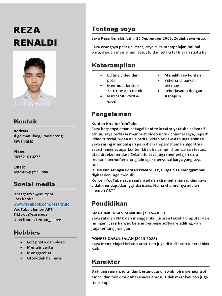 CV & Portofolio - Reza Renaldi | PDF