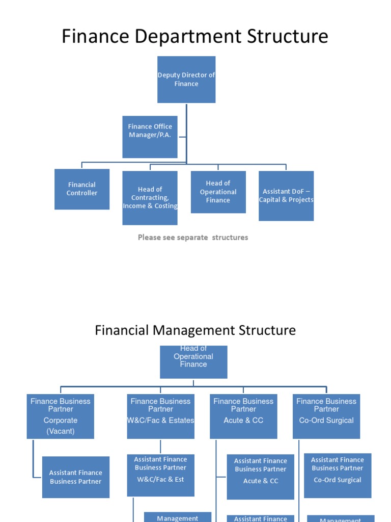 4220-Finance department structure | PDF | Economies | Money