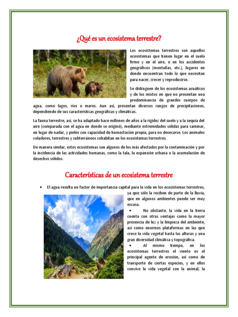 Ecosistemas Terrestres: Tipos y Características | PDF | Ecosistema | Suelo