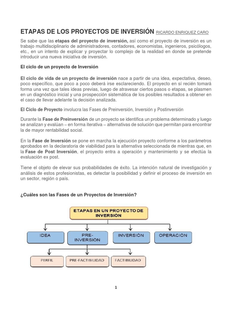 Etapas de un Proyecto de Inversión | PDF | Mercado (economía) | Evaluación