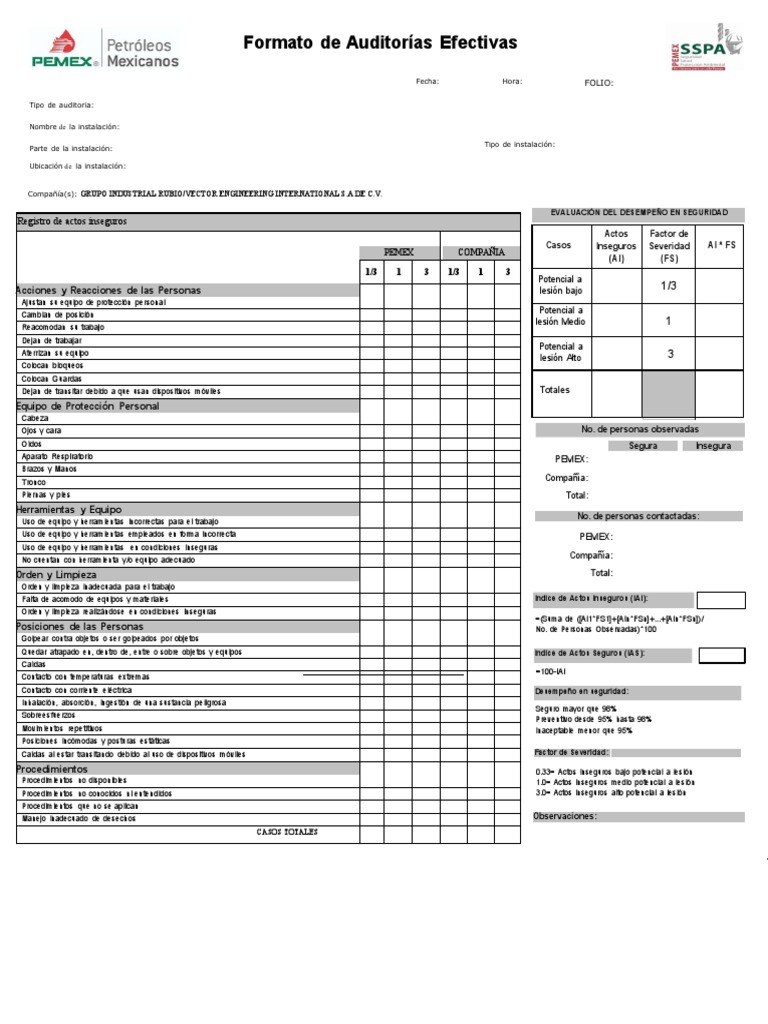 Formato Editable AE | PDF