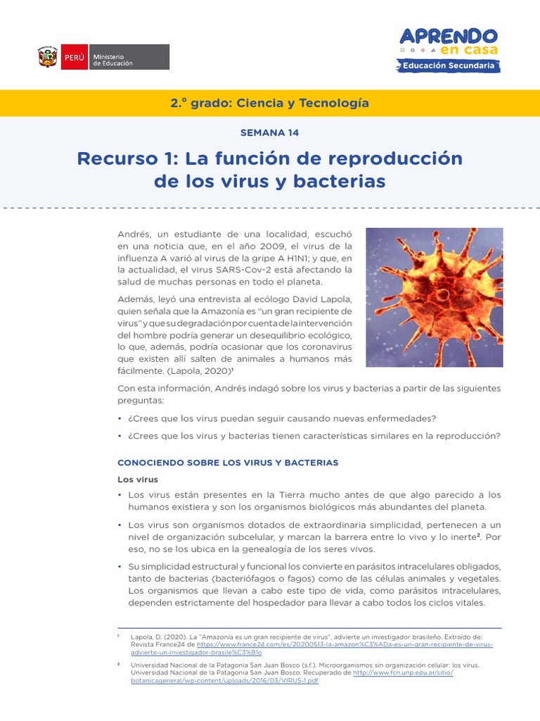 Reproducción y estructura de virus y bacterias: Una exploración de sus similitudes y diferencias ...