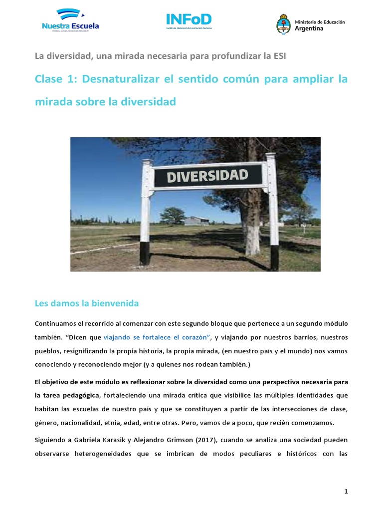 Postitulo ESI Clase1 Modulo2 | PDF | Discriminación y relaciones ...