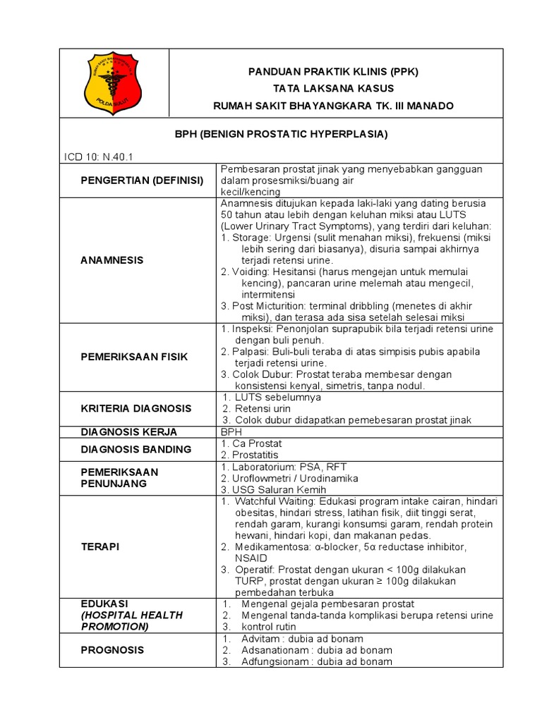 PPK BPH | PDF | Pengembangan Diri | Kesehatan Holistik