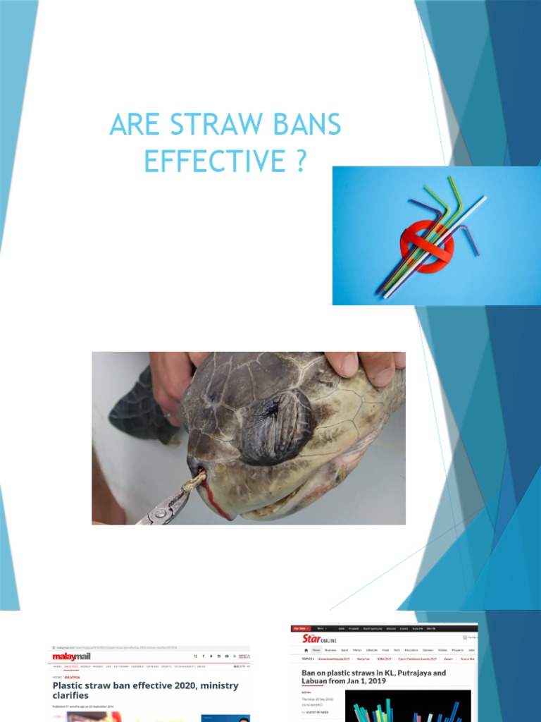 Are Straw Bans Effective Presentation | PDF