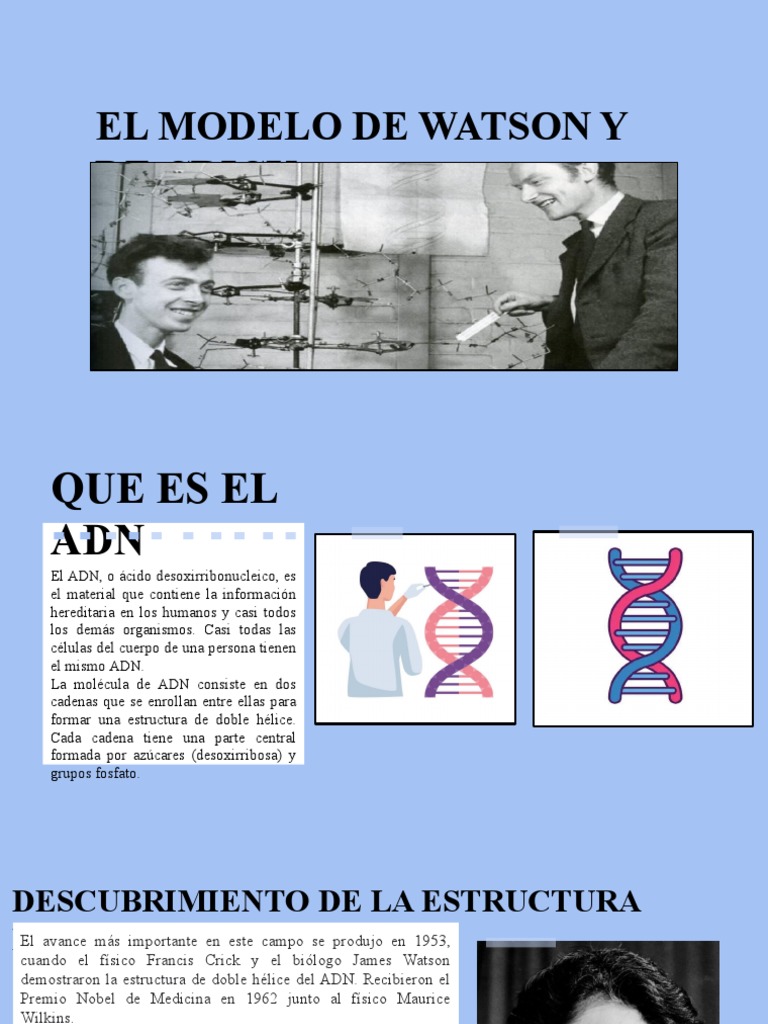El Modelo de Watson y de Crick | PDF | Adn | Francis Crick