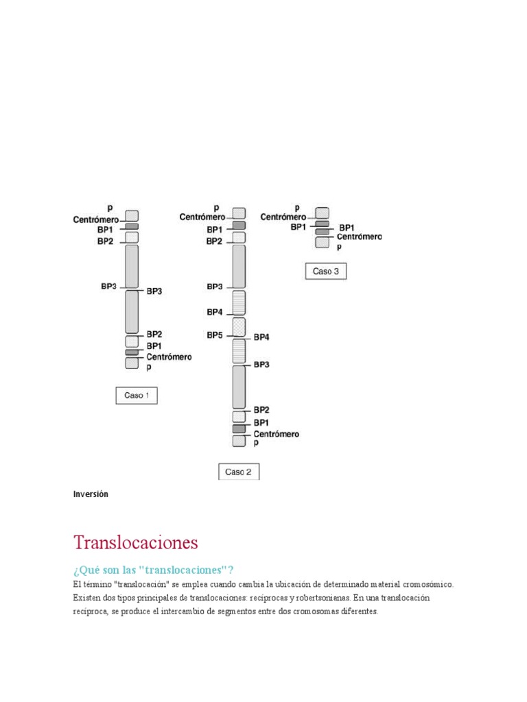 Translocaciones cromosómicas y síndrome de Down | PDF | Citogenética ...