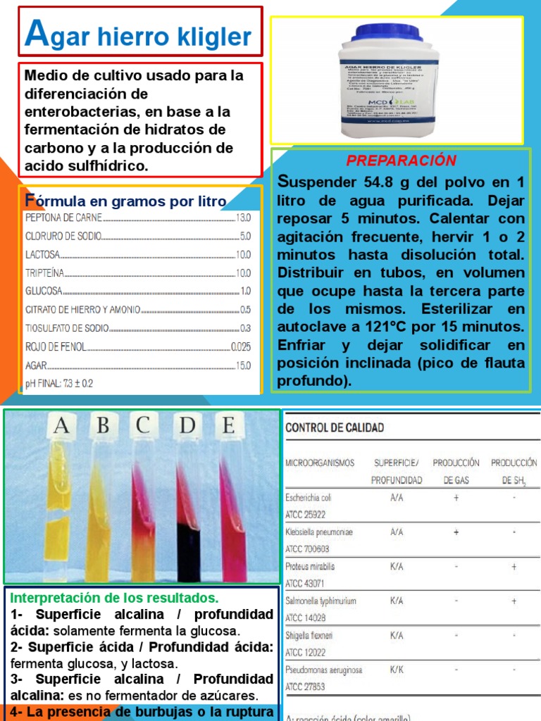 Microbiologia Agar Hierro Kligler | PDF