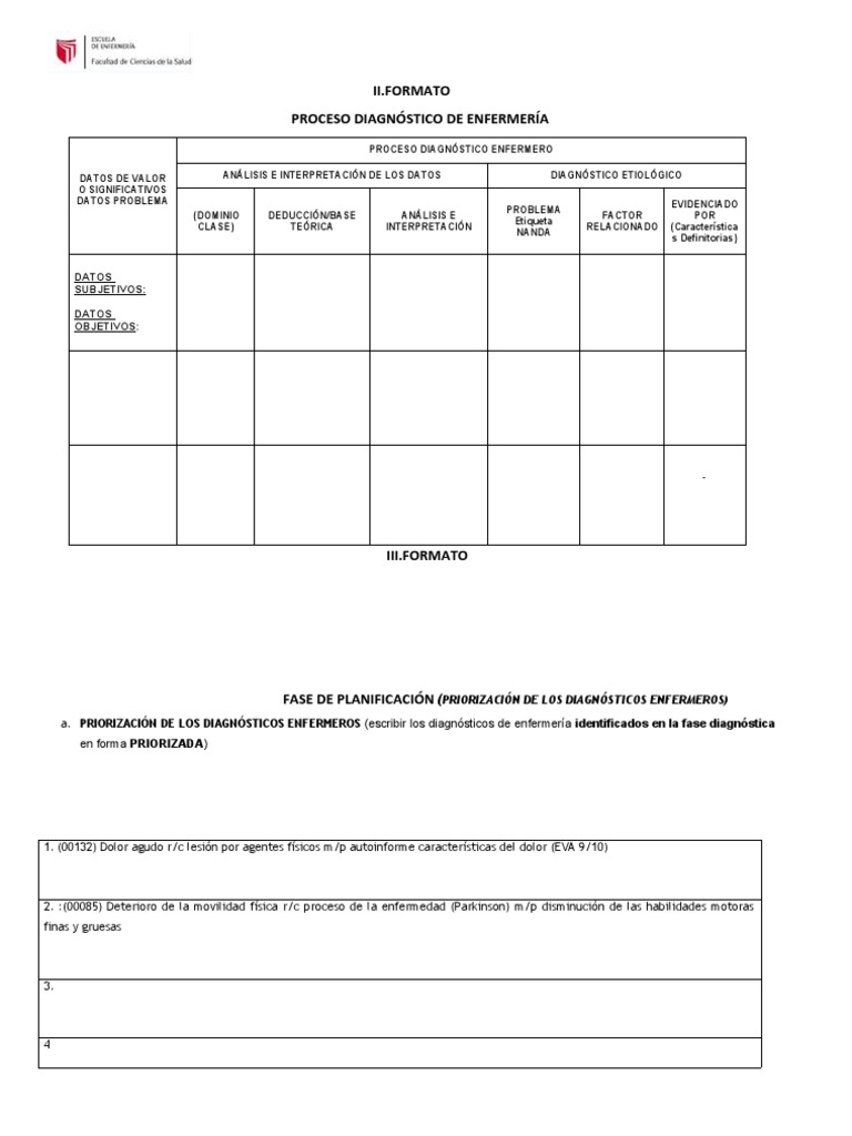 Formato PAE para Diagnósticos de Enfermería | PDF | Enfermería ...