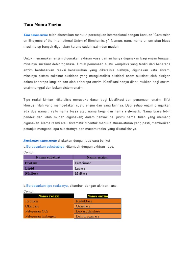 Tata Nama Enzim | PDF