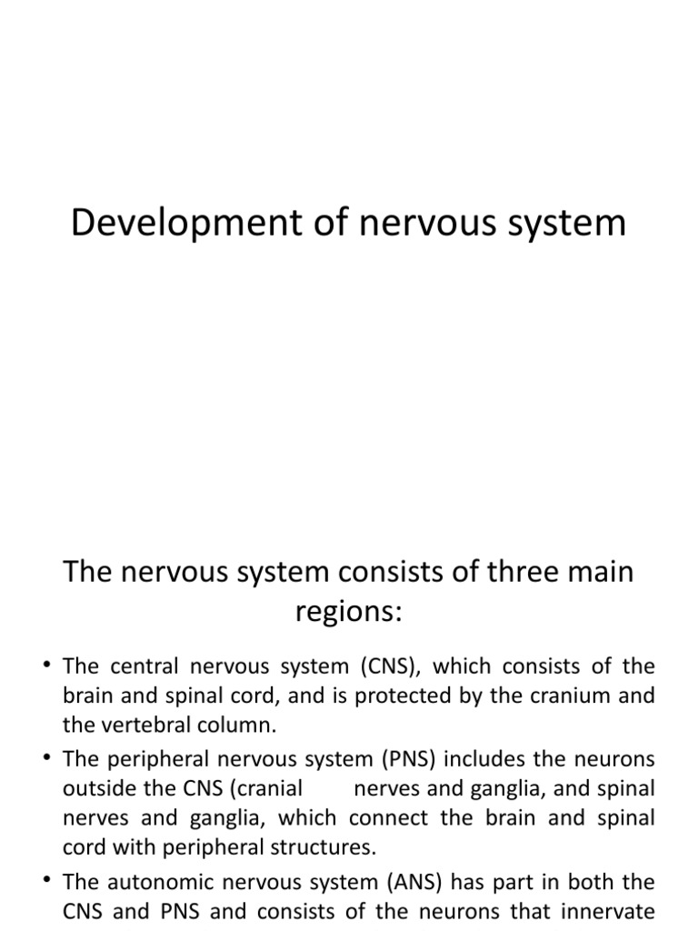 CNS Embryology | PDF | Central Nervous System | Nervous System