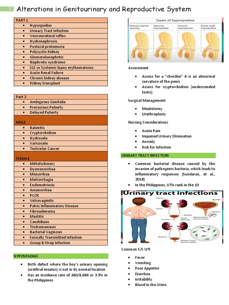 Kidney Disorders and Management Overview | PDF | Health Sciences ...