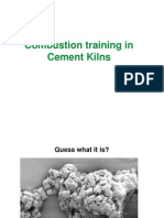 Cement Book Duda | PDF