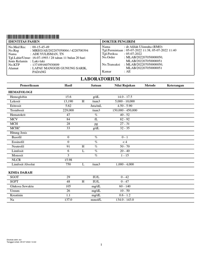 Hasil Laboratorium Ade Yulisman | PDF