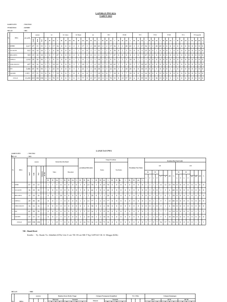 Laporan PWS KIA Mei 2022 Tolitoli | PDF