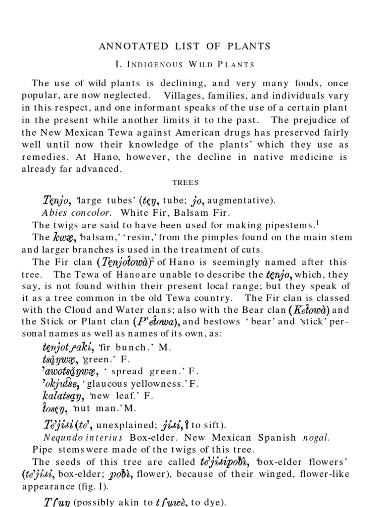 Tewa Ethnobotany-2 | PDF | Pine | Willow