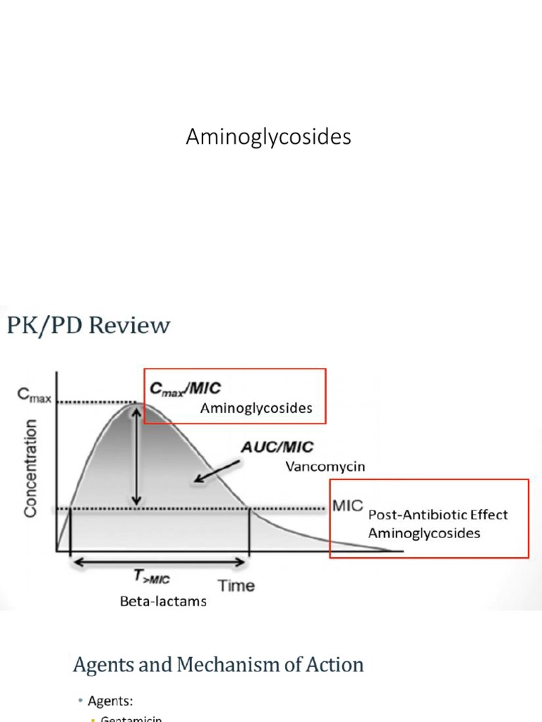 Aminoglycosides | PDF | Chemistry | Dose (Biochemistry)