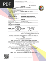 Modelo de Apostilla | PDF