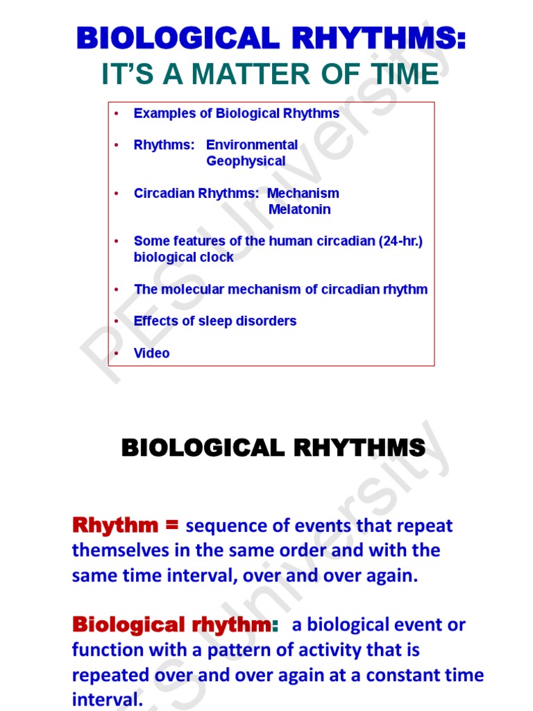 Lecture 20 - Biological Clock, Circadian Rhythm | PDF | Circadian ...