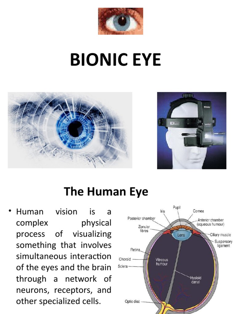 Bionic Eye EB KNS 2019 | Download Free PDF | Retina | Eye