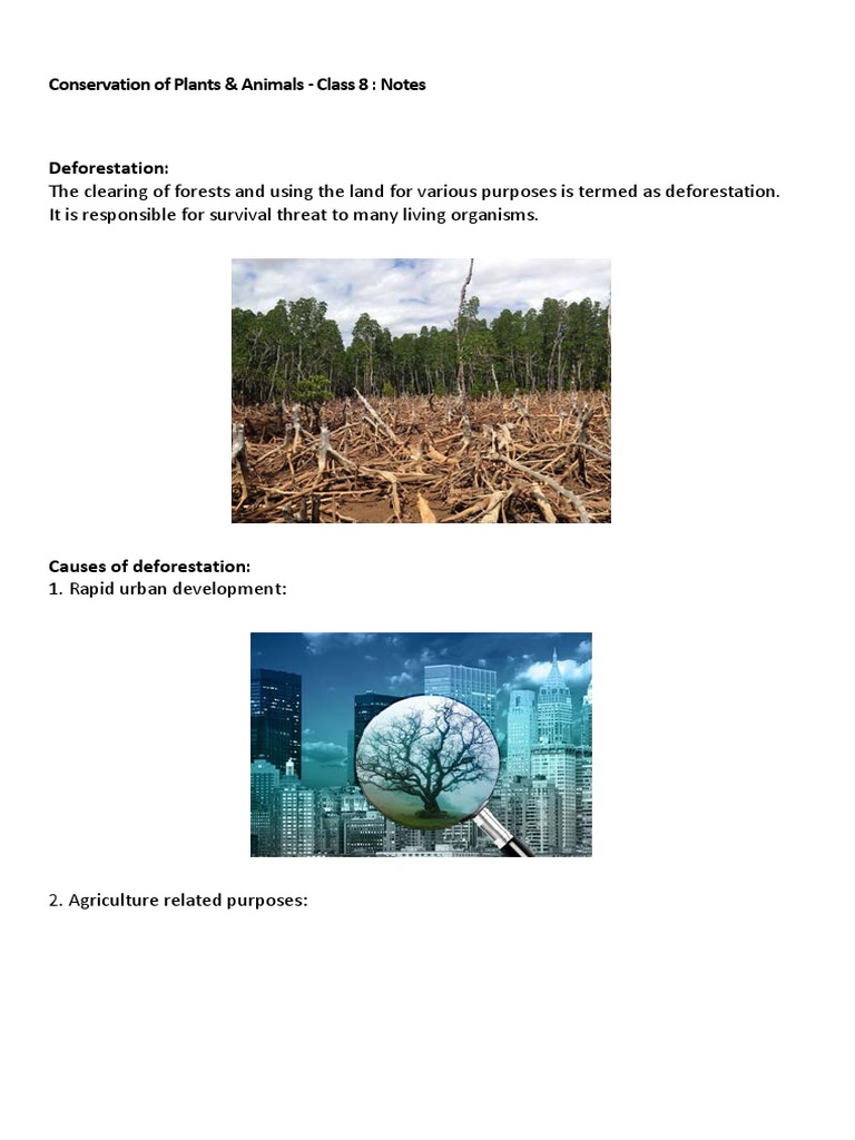 Class 8 Chapter 7 - Conservation of Plants and Animals Notes - Hakim ...