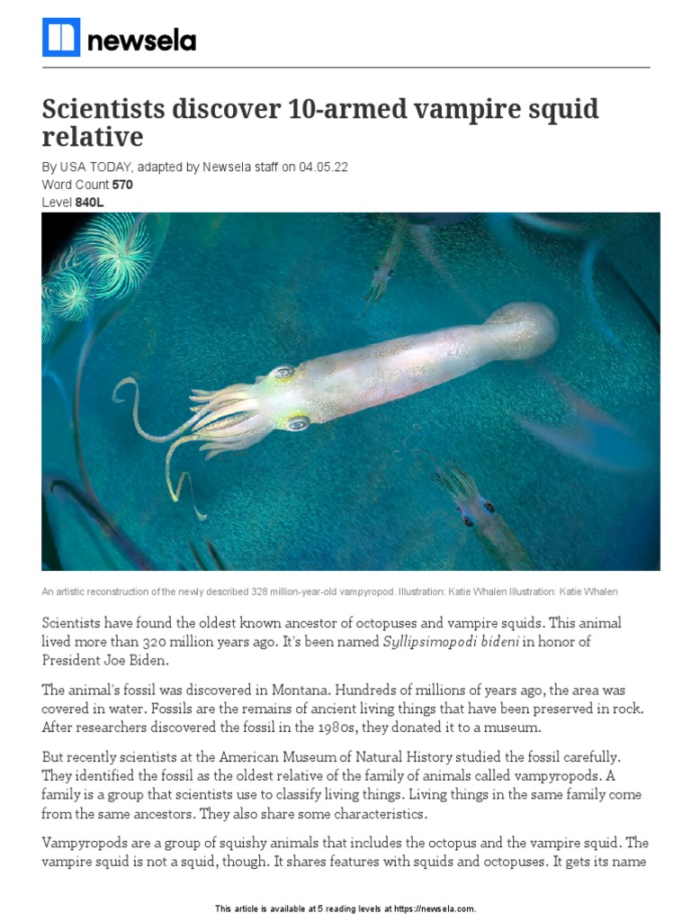 Scientists Discover 10-Armed Vampire Squid Relative | PDF | Fossil ...
