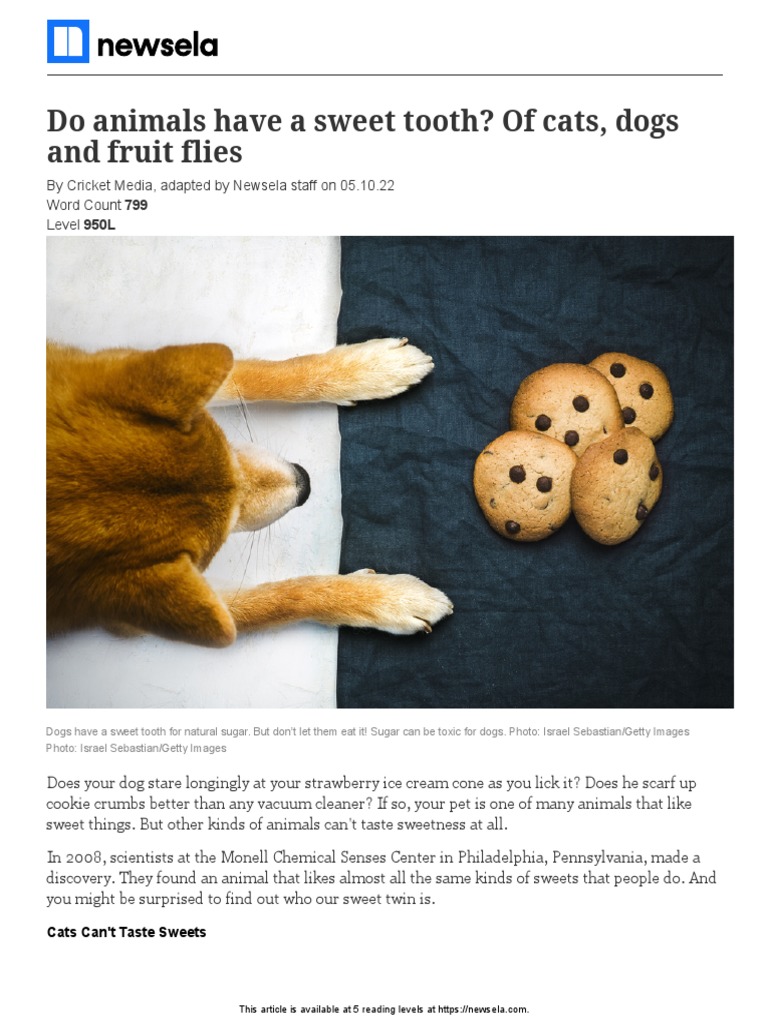 Animal Sweetness Preferences Explained | PDF | Sugar Substitute | Taste