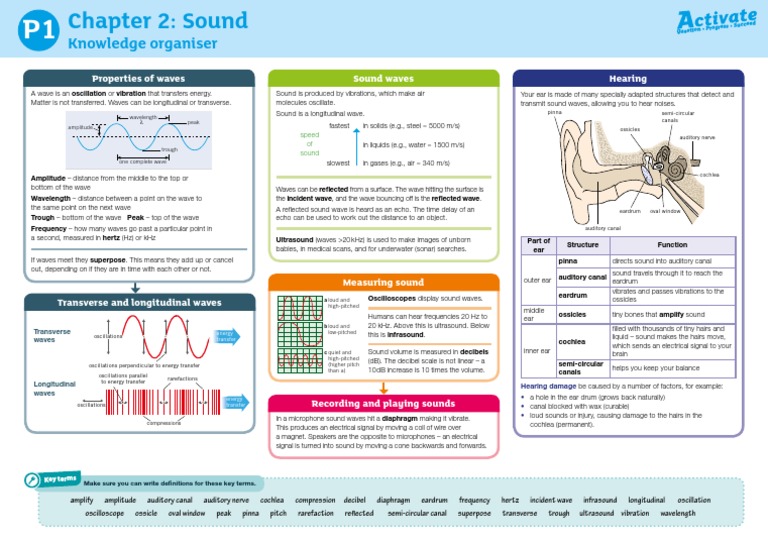 Knowledge Organiser: Properties of Waves Sound Waves Hearing | PDF ...