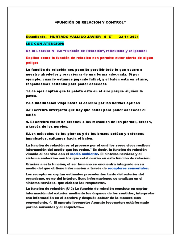Función de Relación y Control | PDF | Cerebro | Sistema endocrino