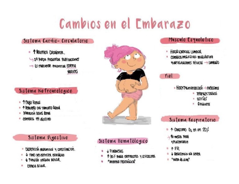 Mapa Mental de Embarazo y Cambios | PDF