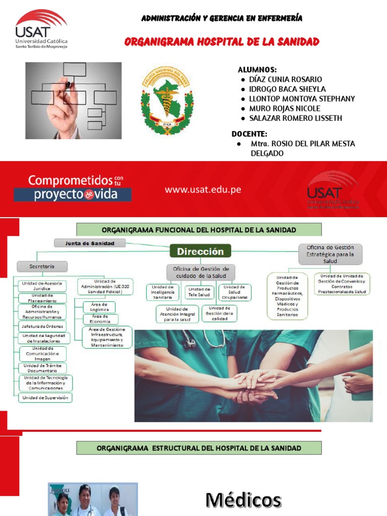 ORGANIGRAMA | PDF | Hospital | Especialidades Medicas