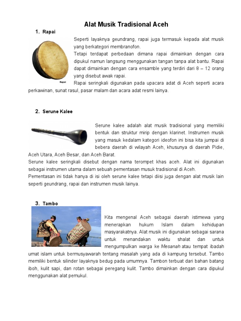 Alat Musik Tradisional Aceh | PDF