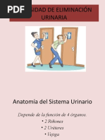 GUÍA de PROCEDIMIENTOS Control de La Diuresis | PDF | Vejiga urinaria ...