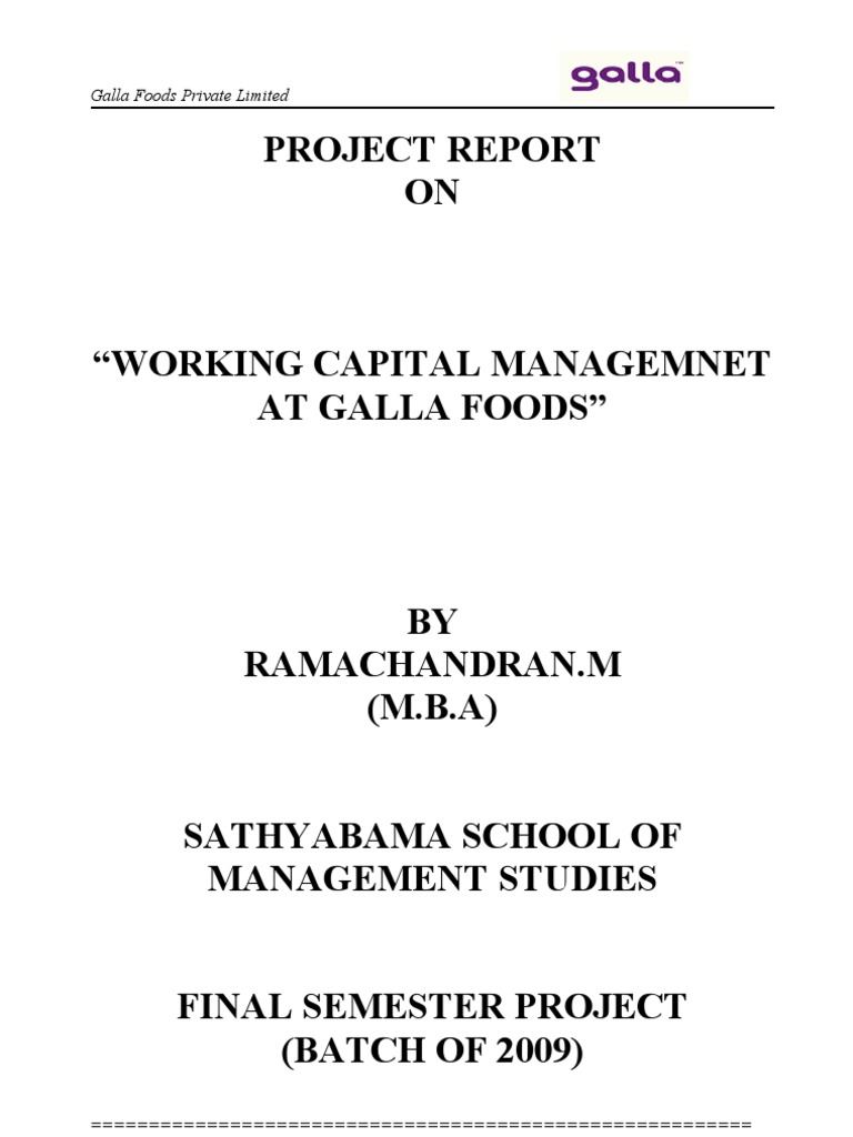 Ram Project | PDF | Working Capital | Mango