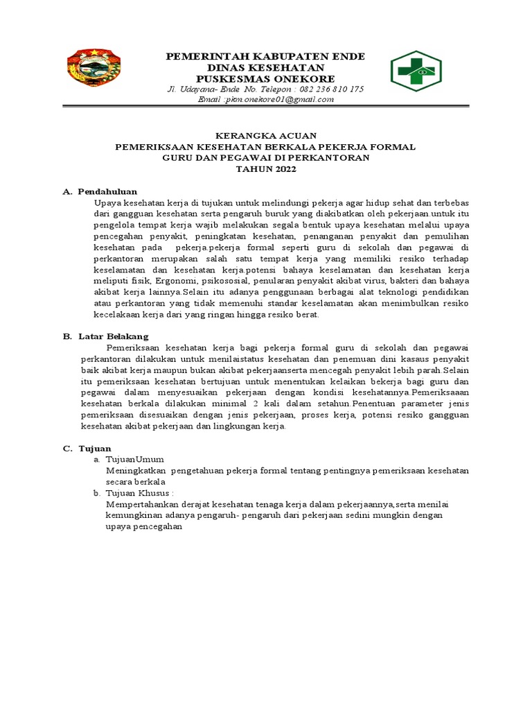 Kerangka Acuan Pemeriksaan Berkala | PDF