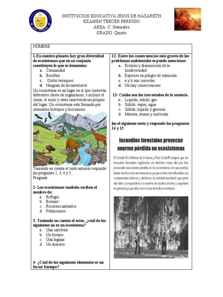 Examen de Ecosistemas para Quinto Grado | PDF | Ecosistema | Suelo