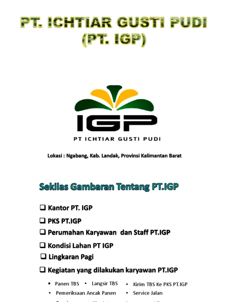 Bahan Persentase Pengenalan PT IGP | PDF