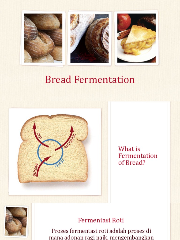 Fermentasi Roti | PDF