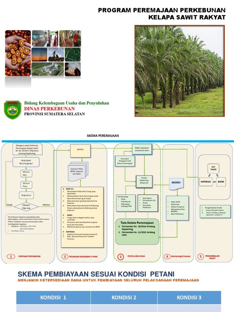 Program Replanting Pdf