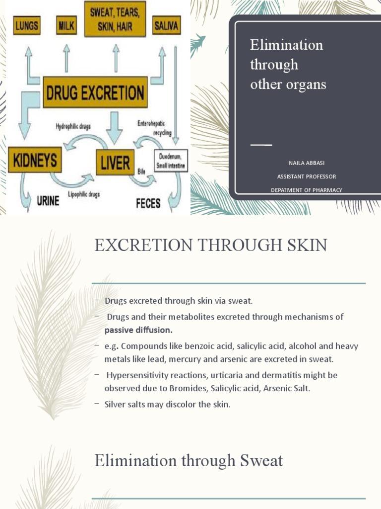 Elimination Through Other Organs Biopharmaceuticals | PDF | Sperm | Lung