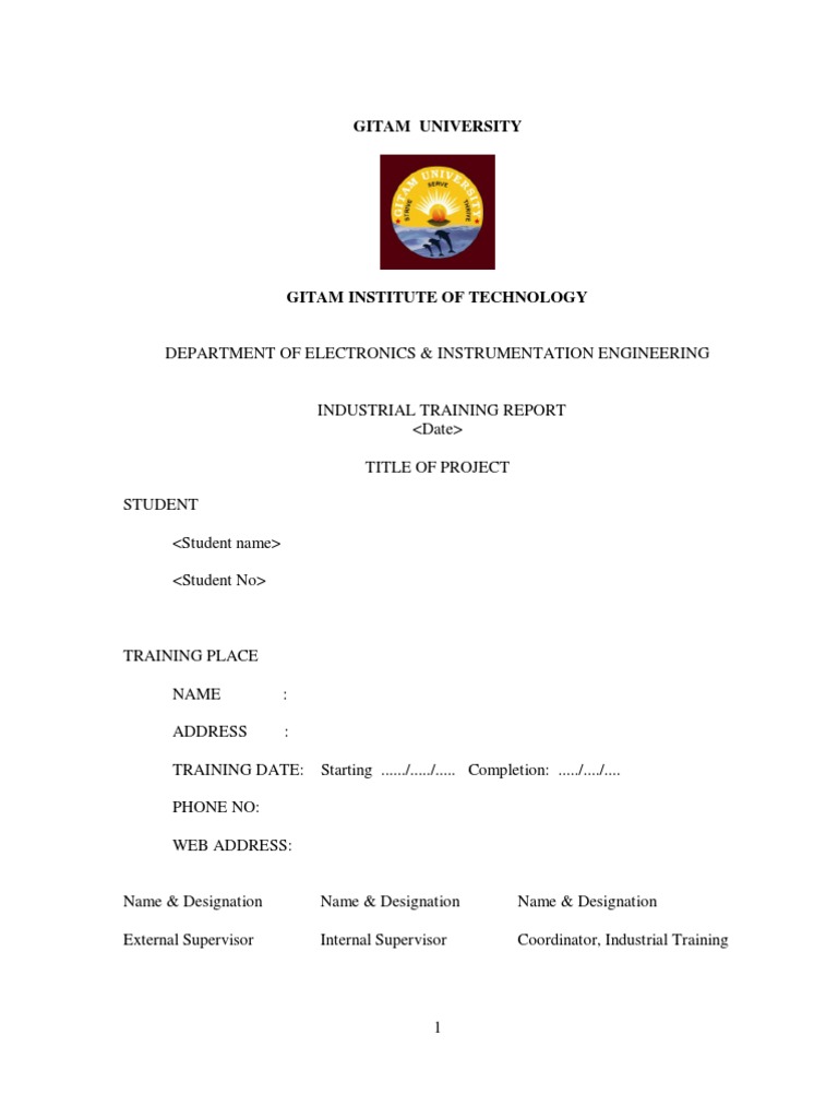 It Report Format Details-1 | PDF | Page Layout | Educational Assessment