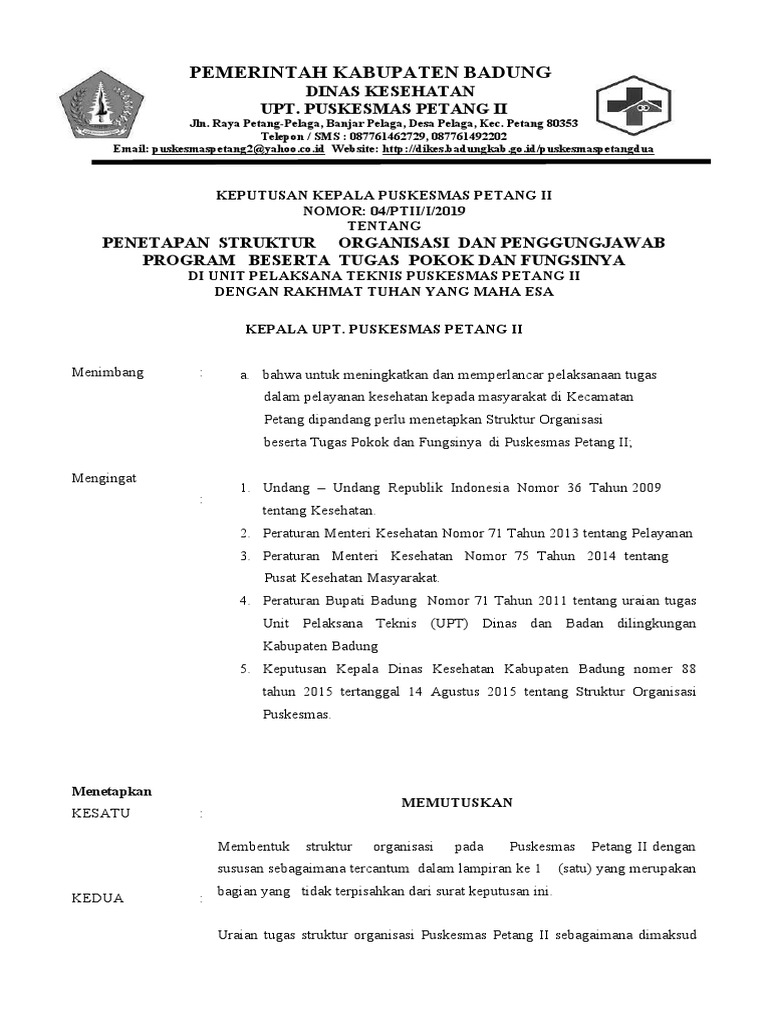 SK 06 Struktur Organisasi Puskesmas Penanggung Jawab Program (Revisi) | PDF